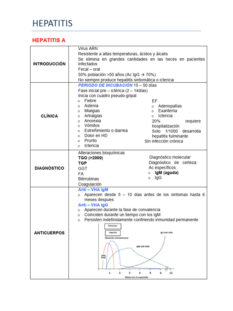 Hepatitis | PDF | Hepatitis | Virus