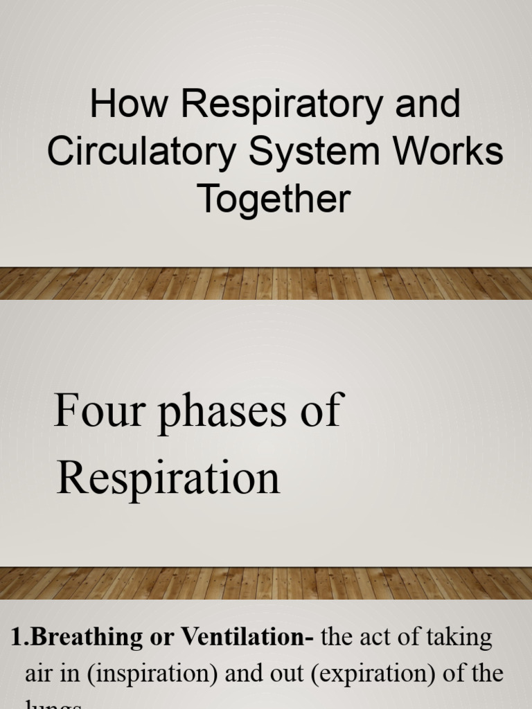 Respiratory-System | PDF
