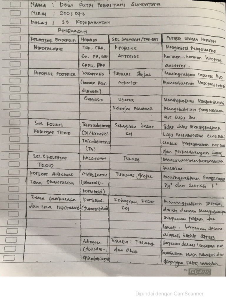 Dewi PF Sundayana | PDF