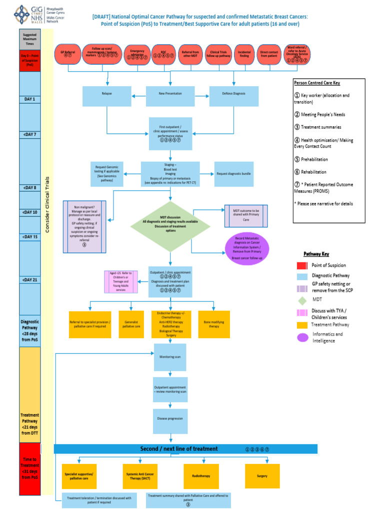 WCN National Optimal Metastatic Breast Cancer Pathway | PDF | Oncology ...