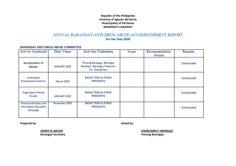 BDRRM Accomplishment Report | PDF