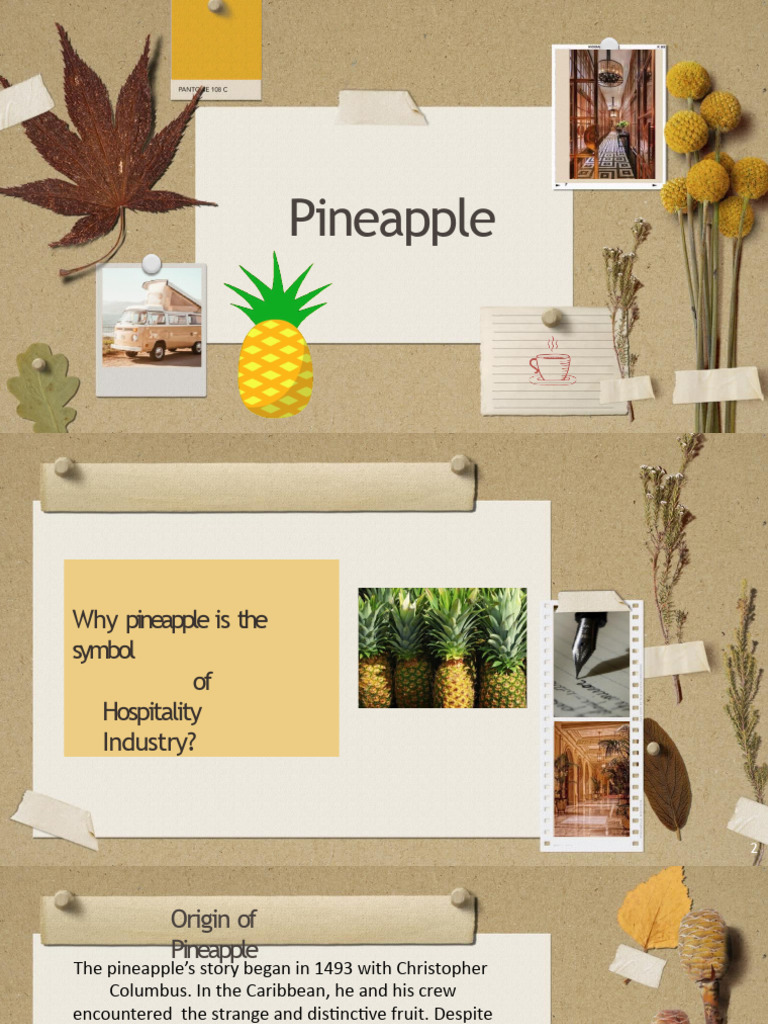 Springboard #1 Pineapple | PDF | Social Science | Home & Garden