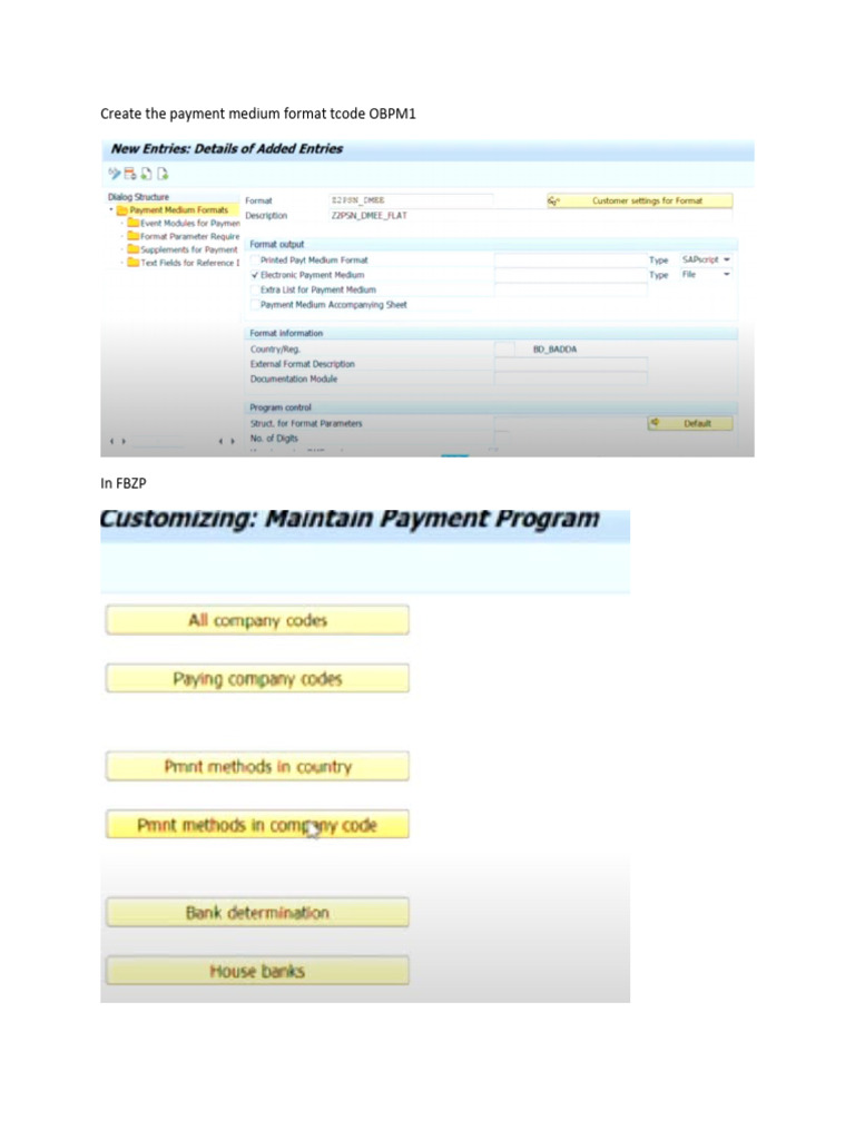 Sap Dme Pdf