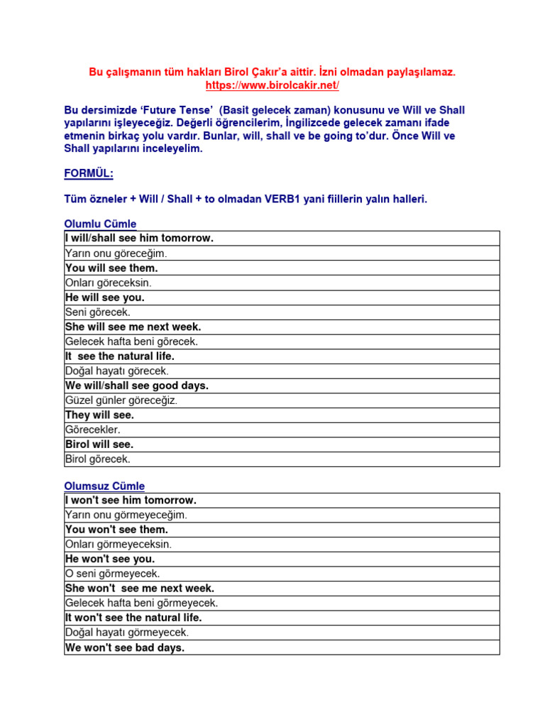 Future Tense Will & Shall | PDF