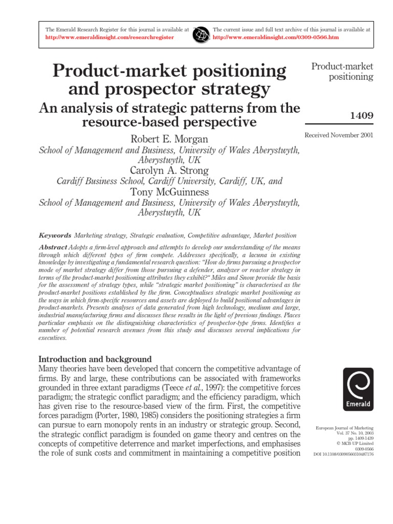 Product-Market Positioning and Prospector Strategy | PDF | Strategic ...