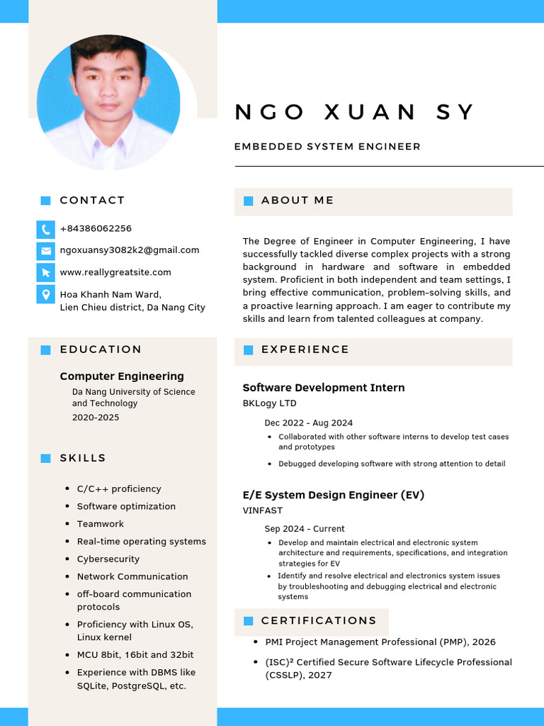 Blue Light Blue Color Blocks Flight Attendant CV | PDF