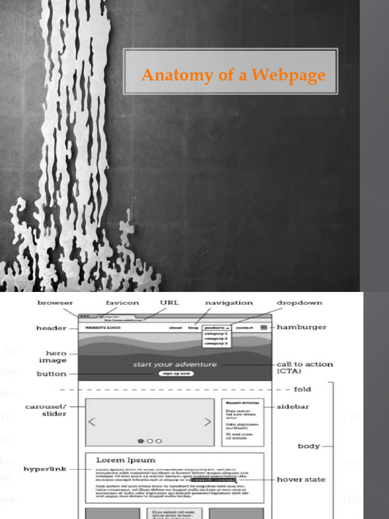 Webpage Anatomy Explained | PDF