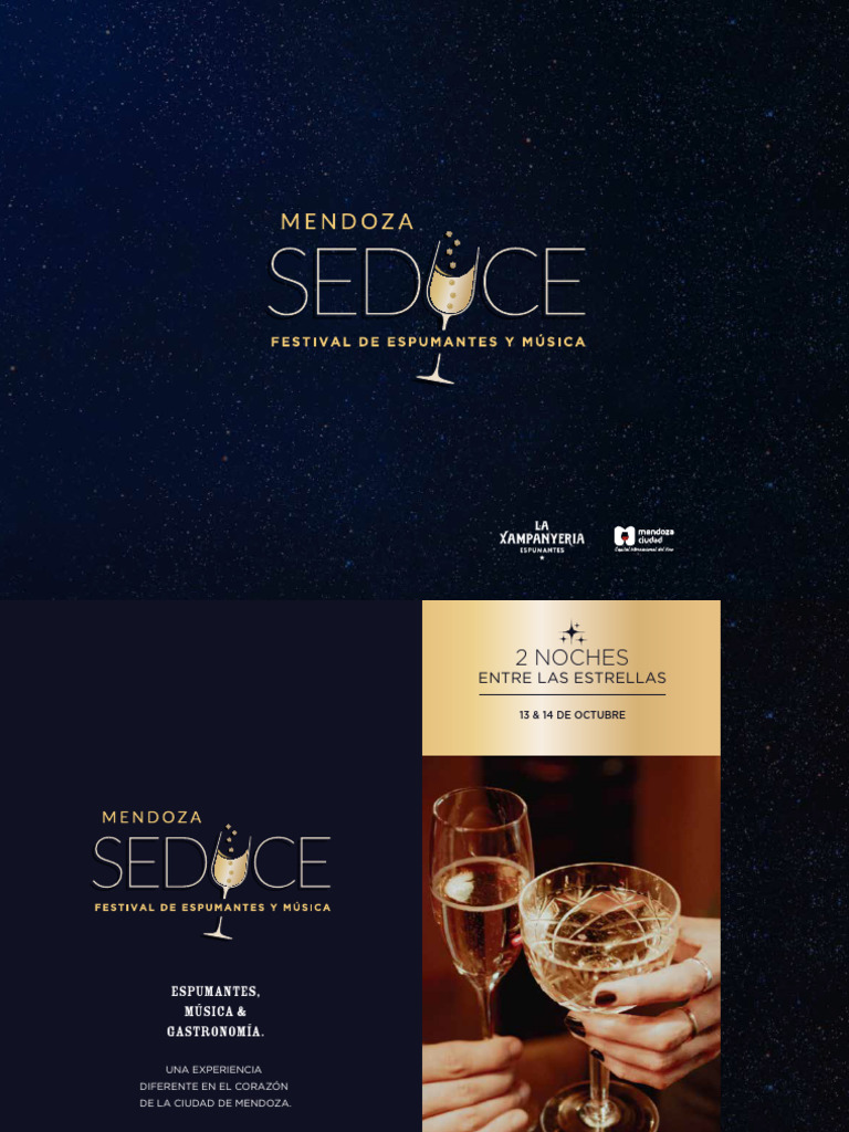 Brochure - Vip | PDF