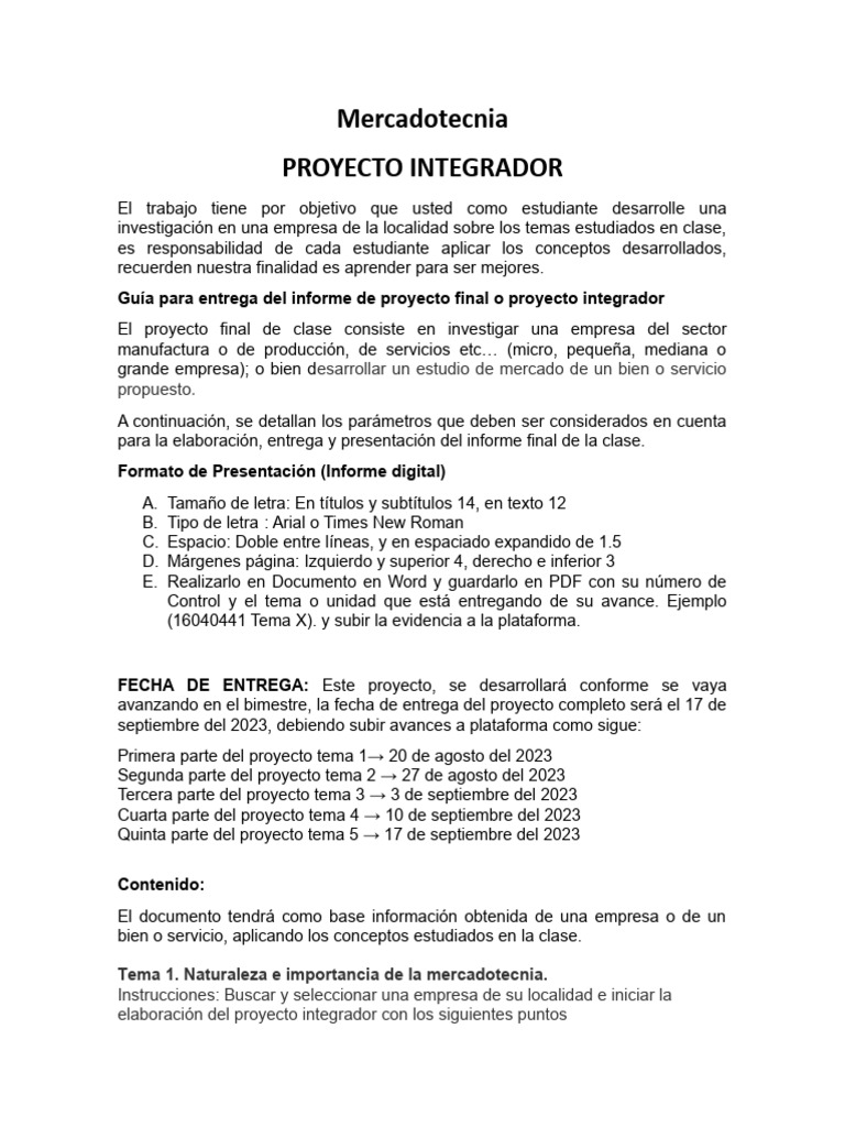 Proyecto Integrador Mercadotecnia | PDF