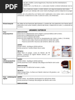 Tipos de férulas y sus indicaciones | PDF | Codo | Tobillo