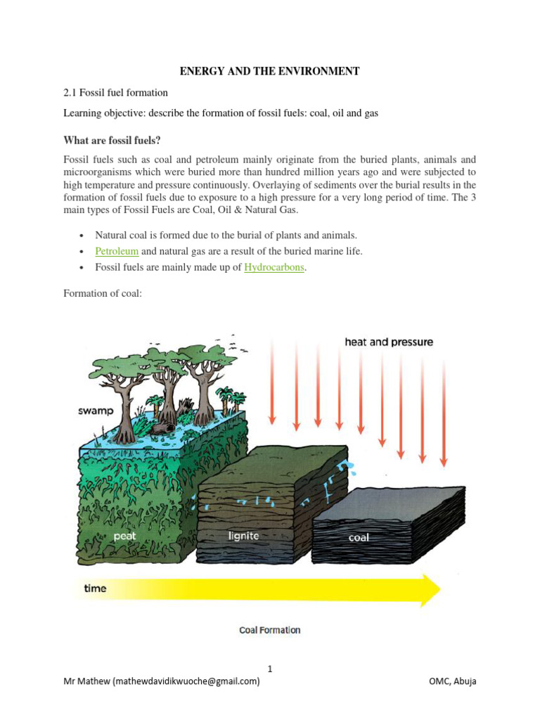 Chapter 2 Energy in The Environment | PDF | Home & Garden