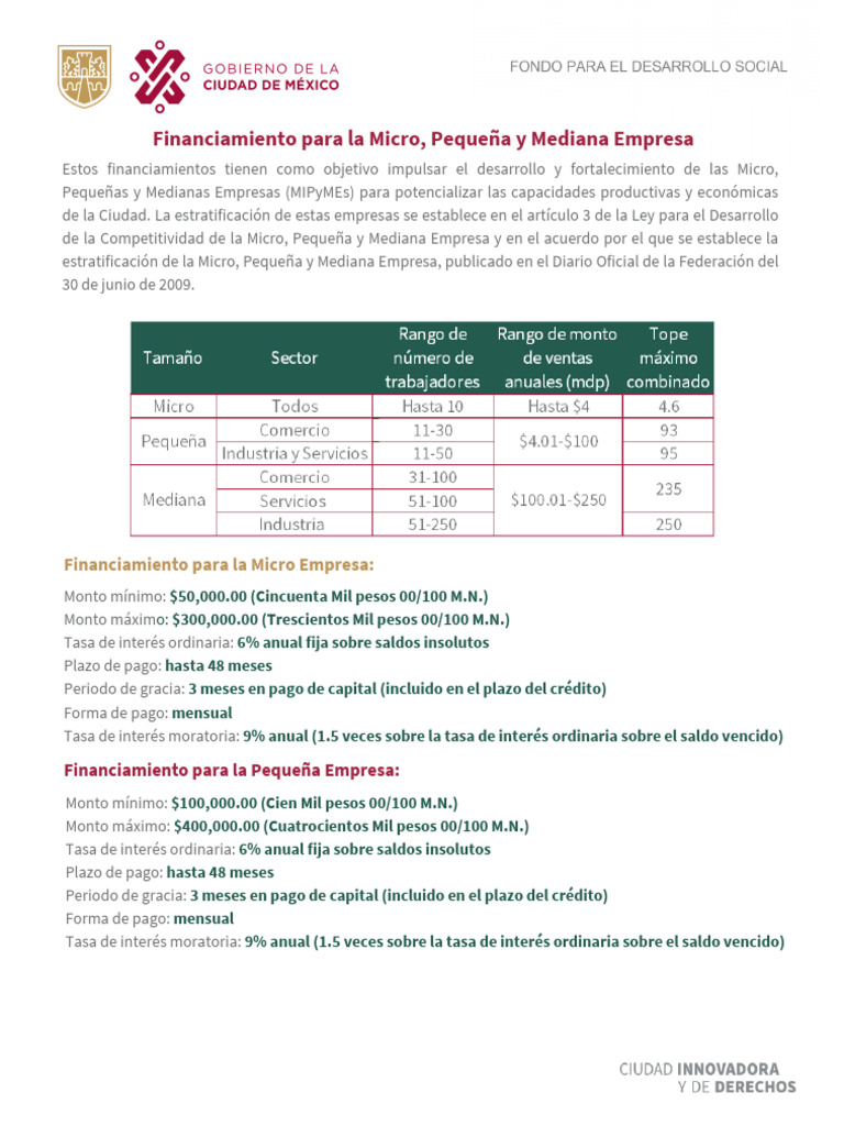 Micro Pequena y Mediana Empresa | PDF | Pequeñas y medianas empresas | Economias