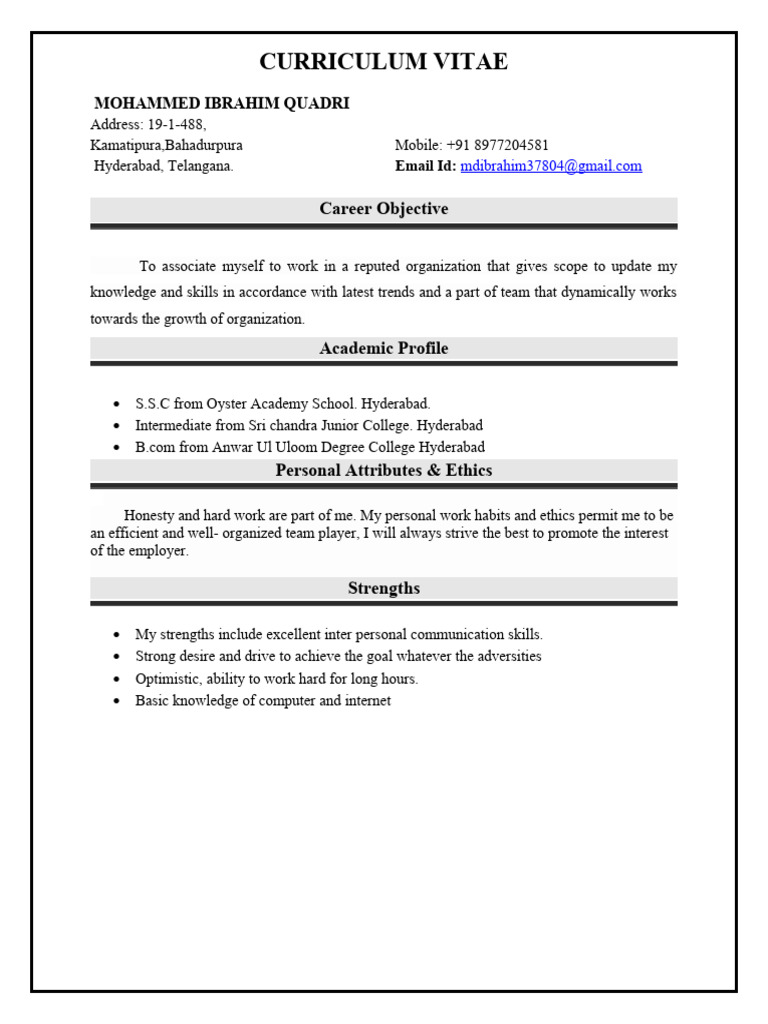 Mohammed Ibrahim Quadri CV | PDF