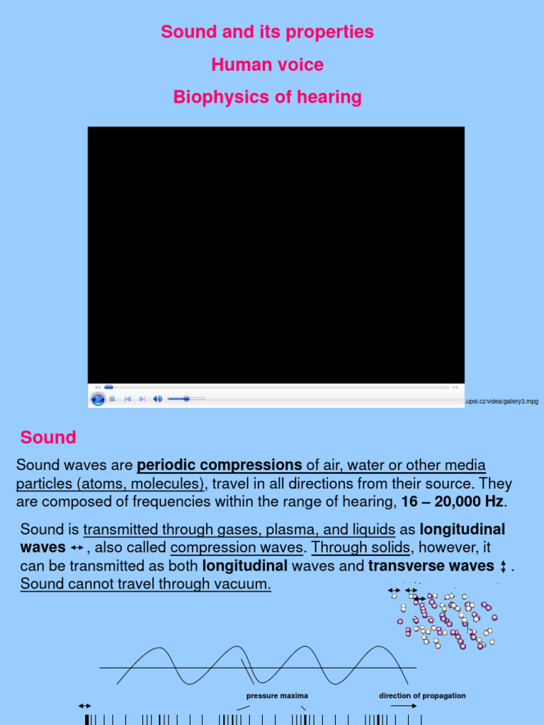 Sound and Hearing | PDF