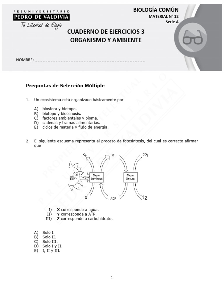 Cuaderno de Ejercicio N°3 Organismo y Ambiente | PDF | Red alimentaria ...