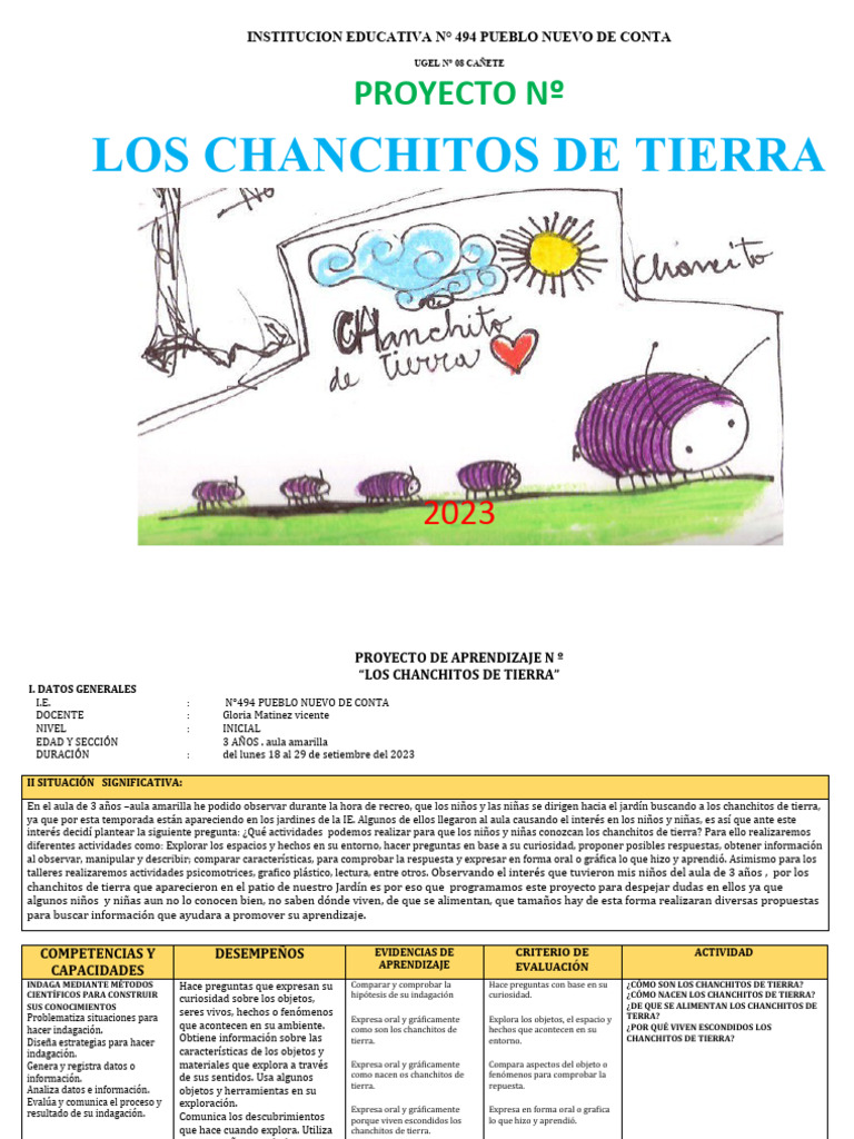 Proyecto Educativo: Chanchitos de Tierra | PDF | Evaluación | Cognición