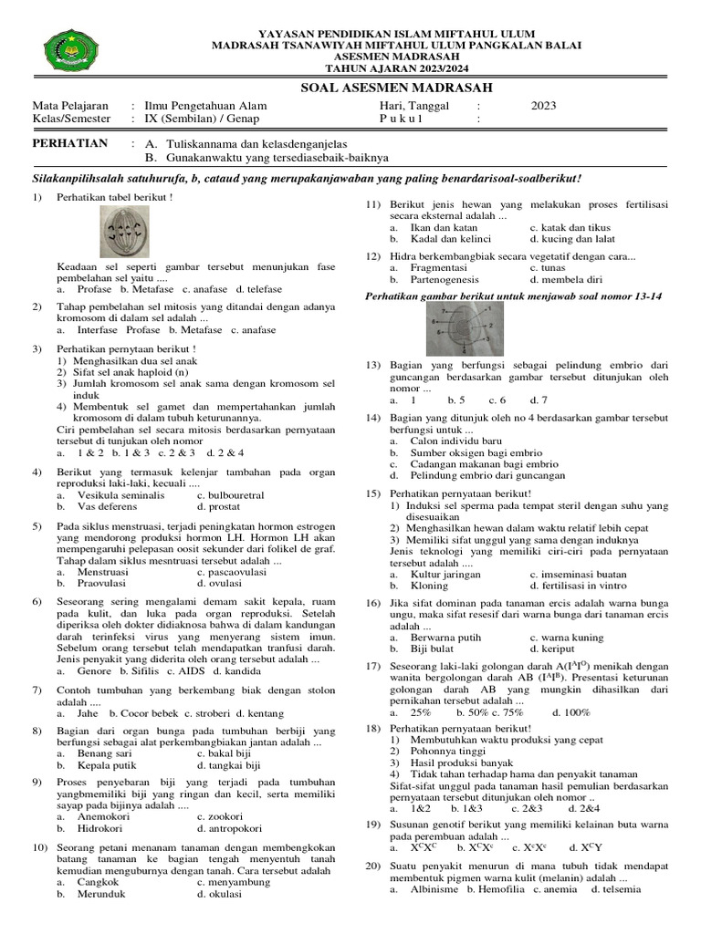 Soal ATS Ganjil | PDF