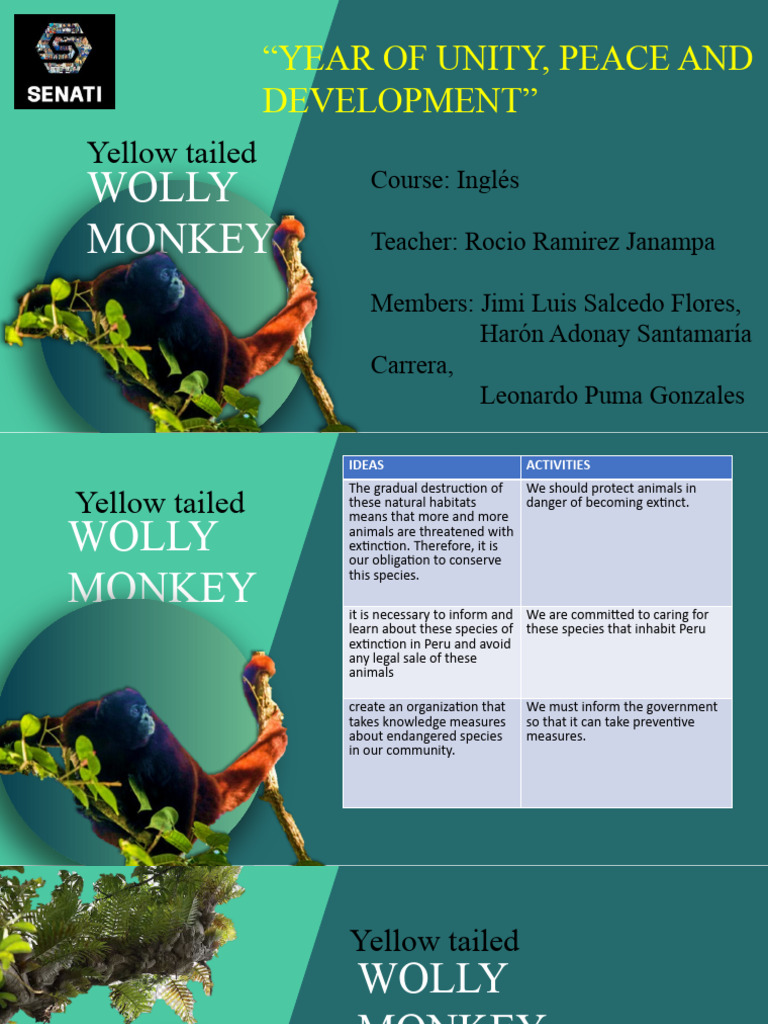 Final Project | PDF | Monkey | Organisms
