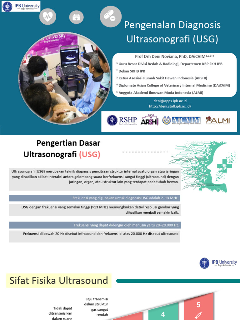 Pengenalan Diagnosis USG | PDF