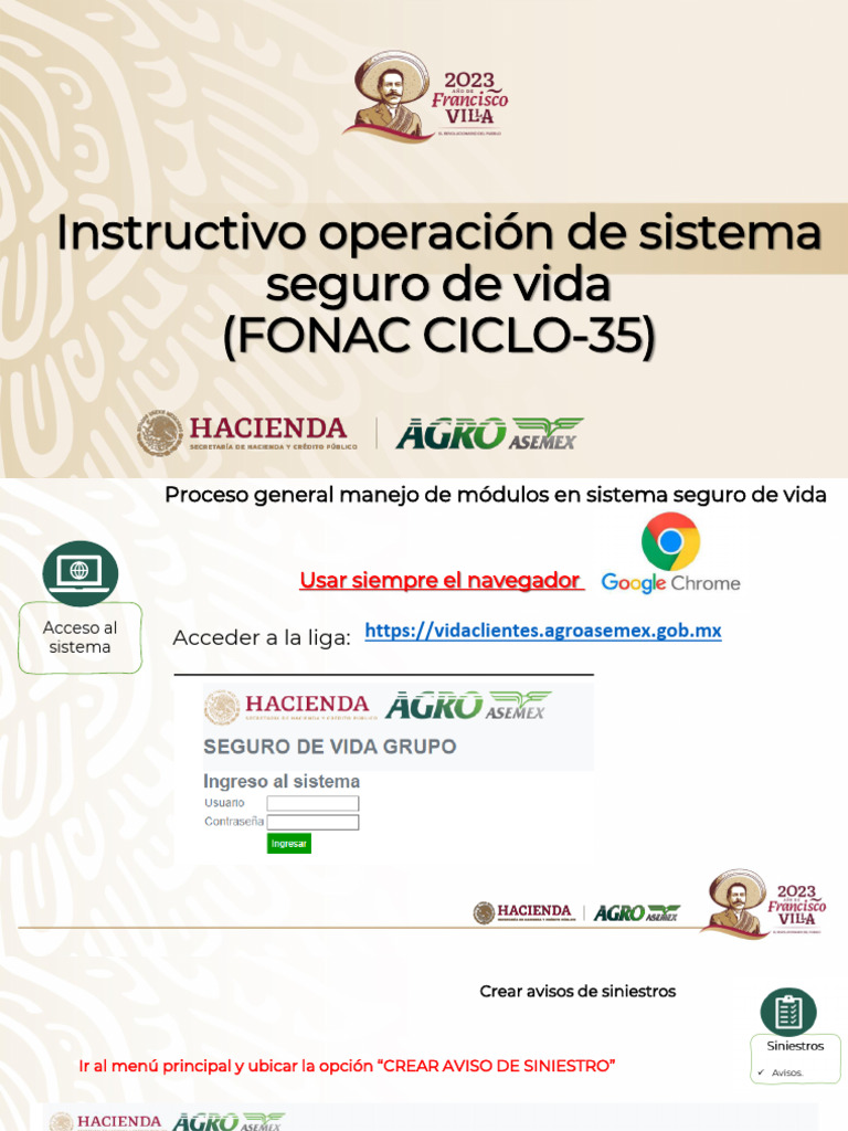 Instructivo Operación Sistema Seguro Vida Fonac Reporte de Siniestros (Ciclo-35) | PDF