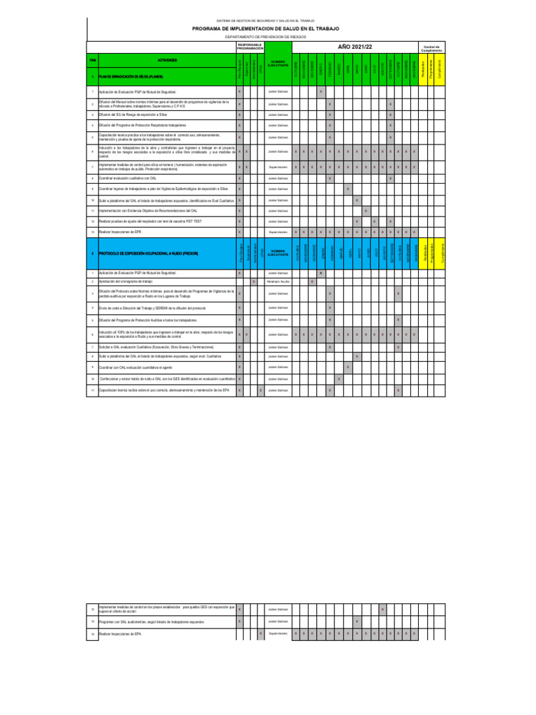 Gantt de Implementación de Protocolos Minsal ERCH | PDF