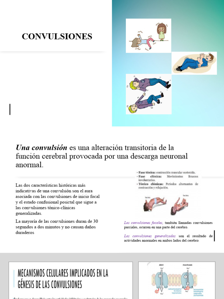 Convulsiones en Niños: Tipos y Diagnóstico | PDF | Epilepsia ...