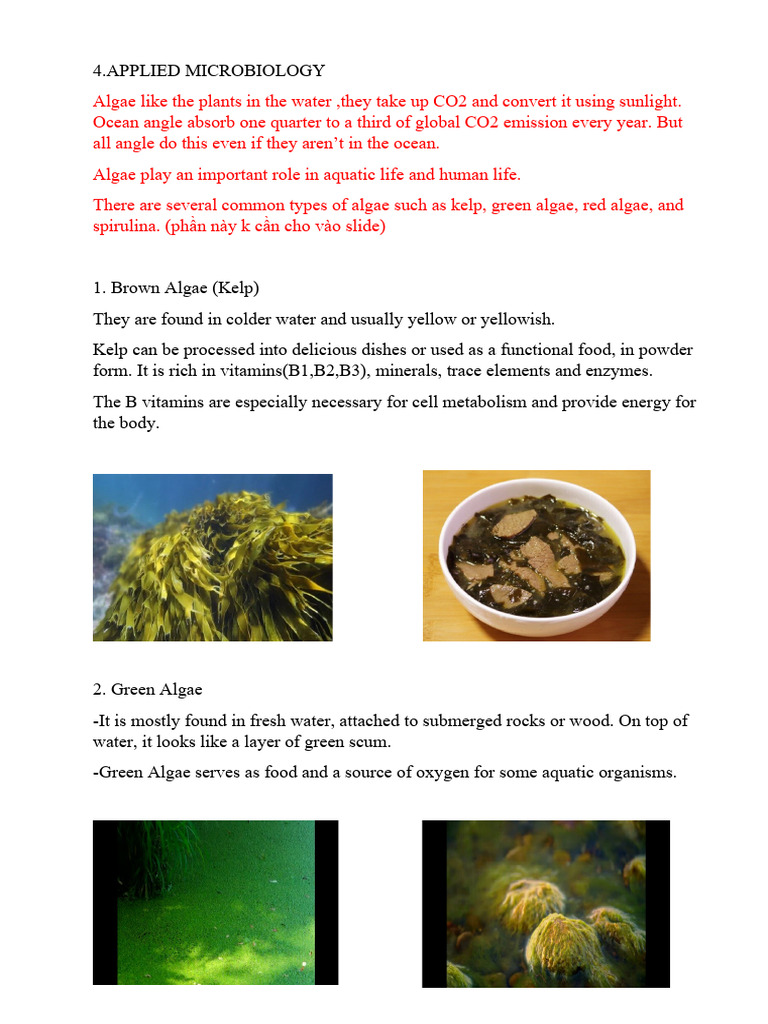 Algae: Nutritional Benefits and Habitats | PDF