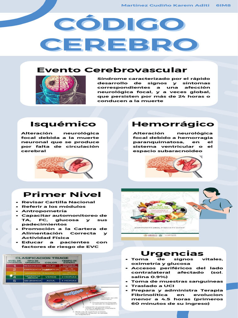 Código Cerebro | PDF