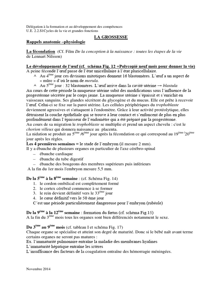 Anatomie et Physiologie de la Grossesse | PDF | Grossesse | Placenta