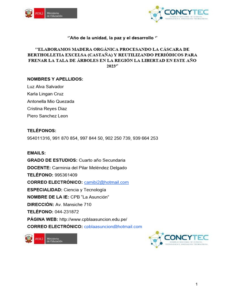 Informe CTA | PDF