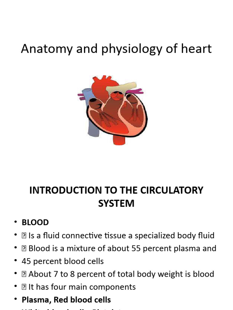 Anatomy and Physiology of Heart | PDF | Heart Valve | Heart
