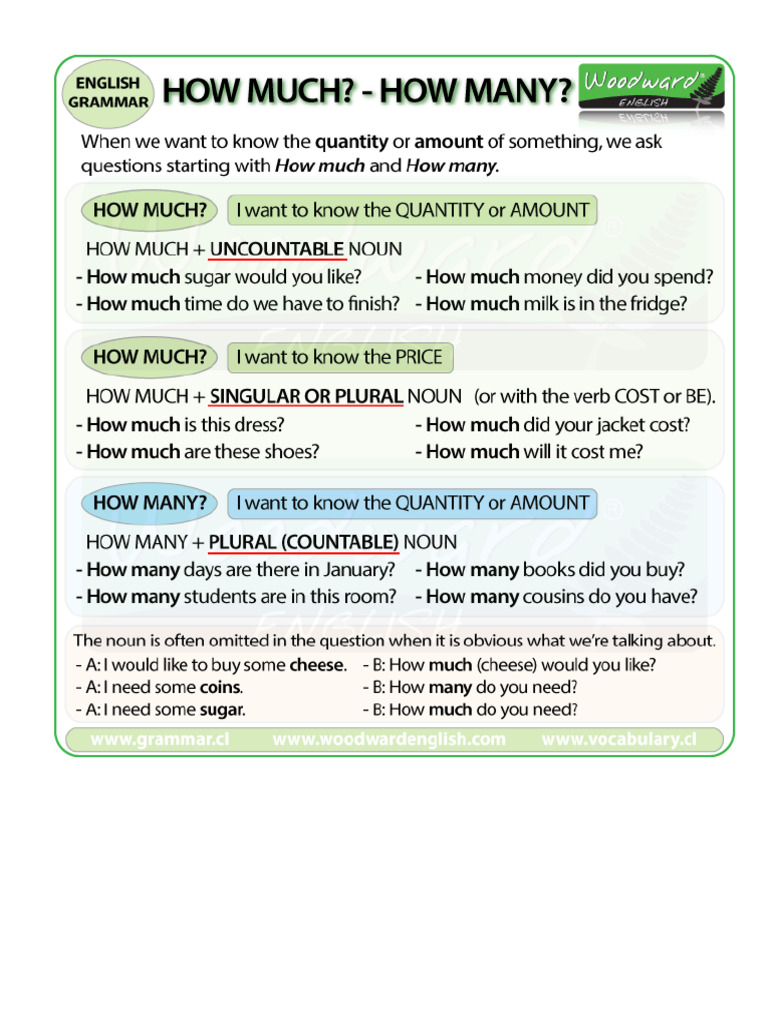 How Many - How Much 6 | PDF
