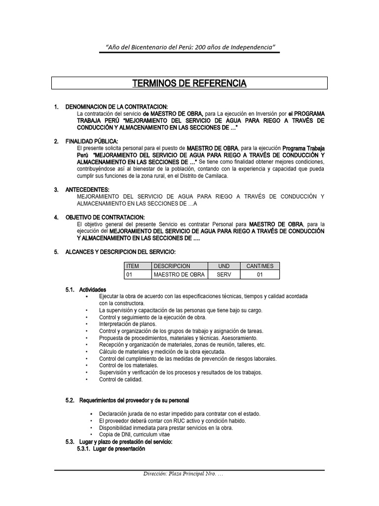 TDR Maestro de Obra | PDF