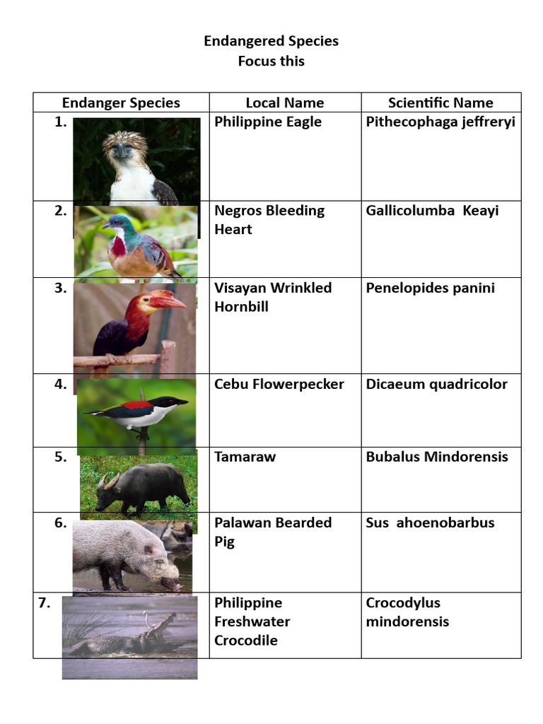 Endangered Species | PDF | Mammals Of Asia | Fauna