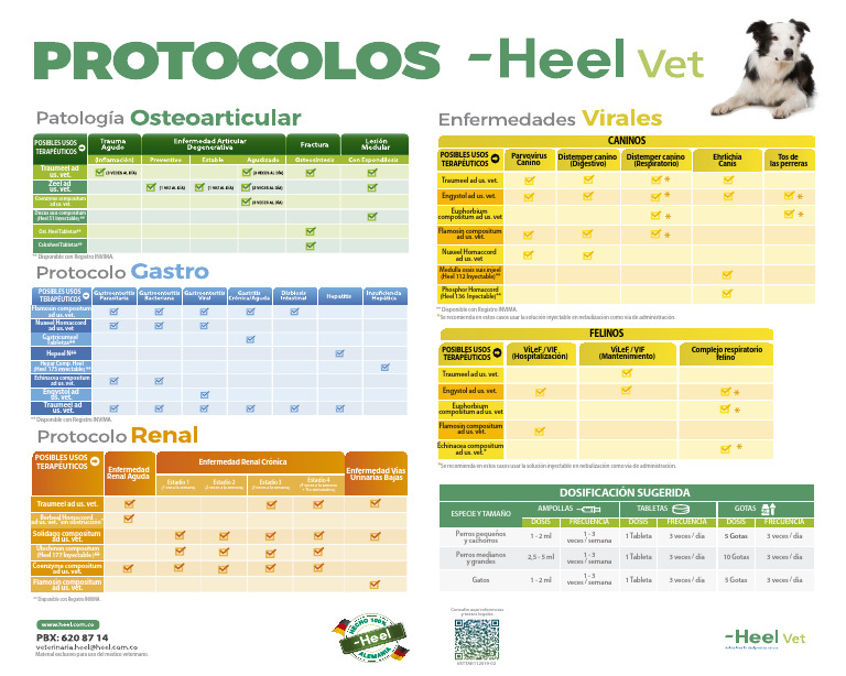 Protocolos Terapéuticos HEEL | PDF | Ciencias de la Salud | Causas de ...