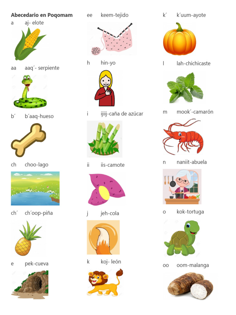 Abecedario en Poqoma1 | PDF