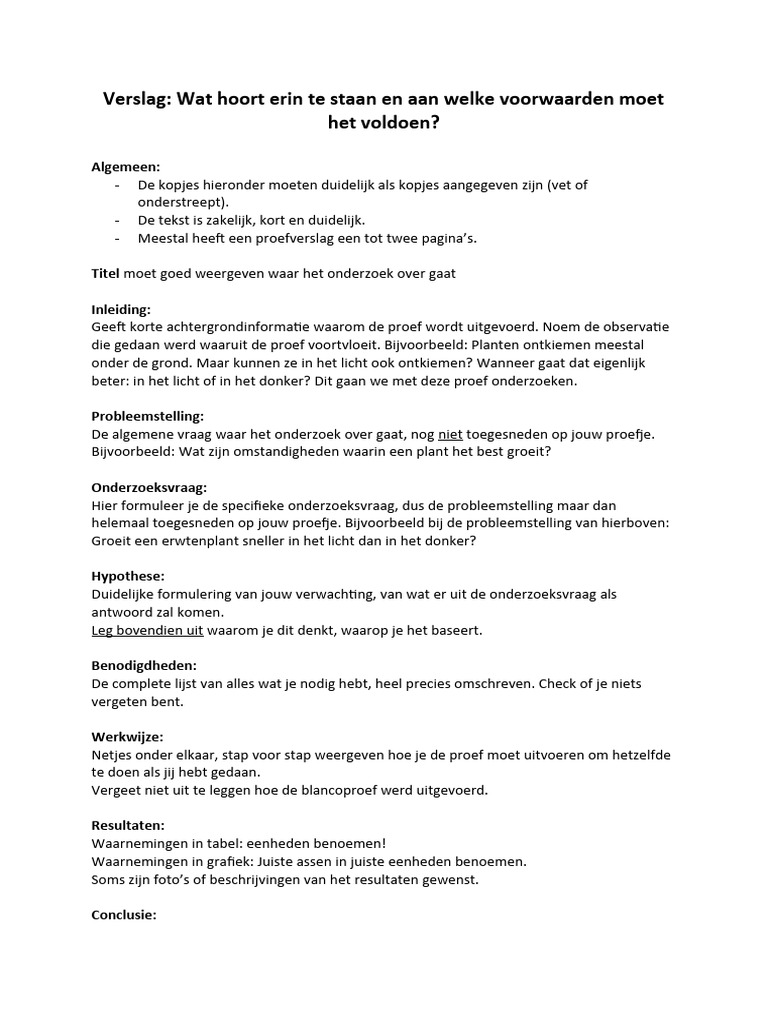 Verslag Template | PDF