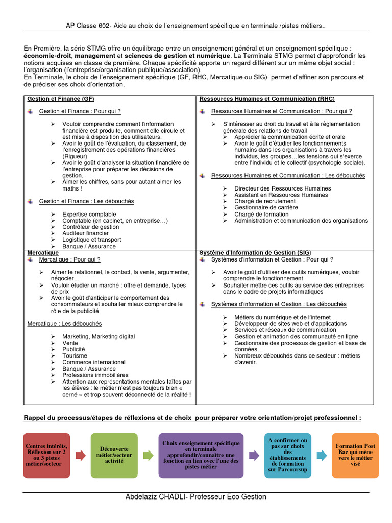 Aide Choix Enseignement Spécifique en Terminale Stmg-Orientation | PDF