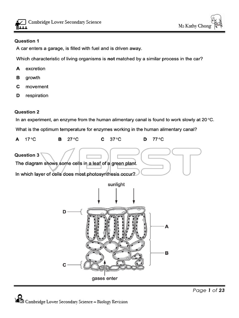 Y9-Biology-Revision | PDF