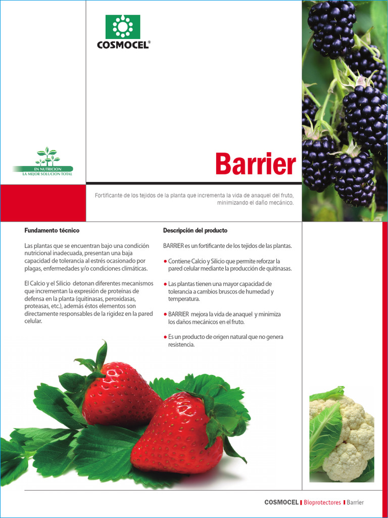 Ficha Técnica Barrier Ft | PDF