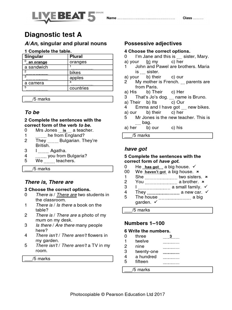 English Grammar Diagnostic Test | PDF