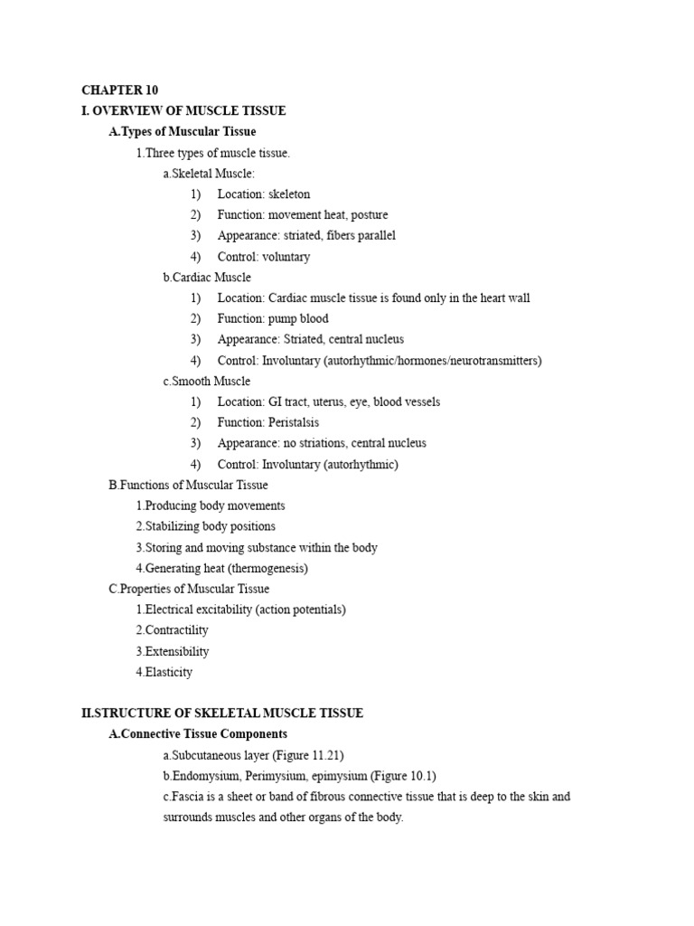 Muscular System Notes | PDF | Muscle Contraction | Skeletal Muscle