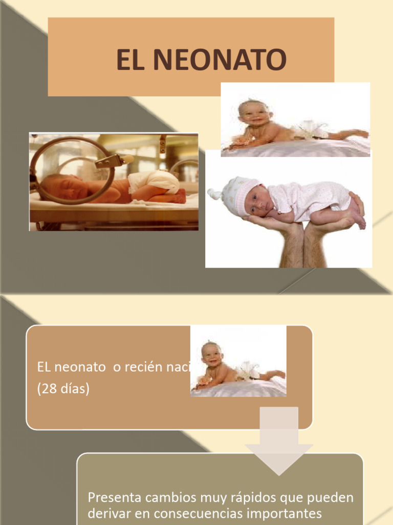 Cuidados Del Neonato Materno | PDF | Infantes | Medicina CLINICA