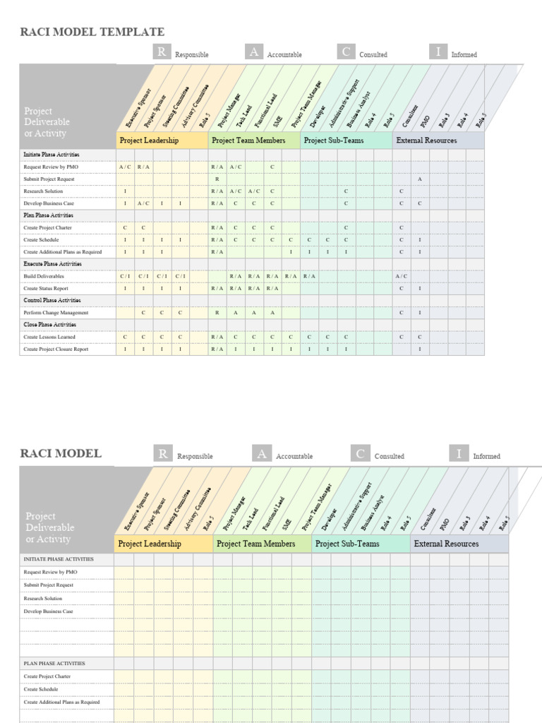 IC RACI Model 11452 | PDF