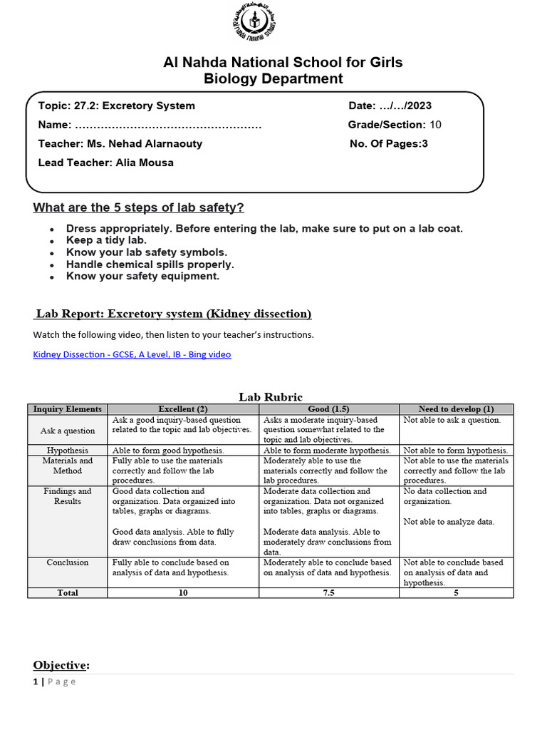 Kidney Dissection Lab Report | PDF | Inquiry Based Learning | Inquiry
