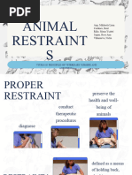Canine Restraint SOP Guide | PDF
