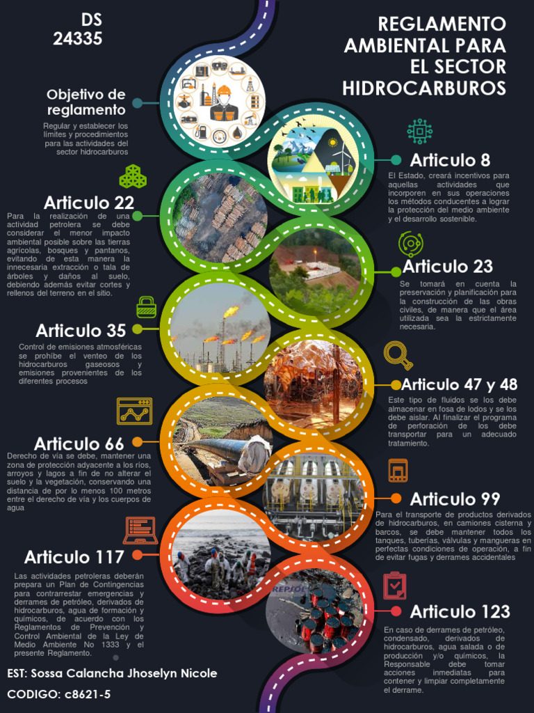 Reglamento Ambiental | PDF | Petróleo | Entorno natural