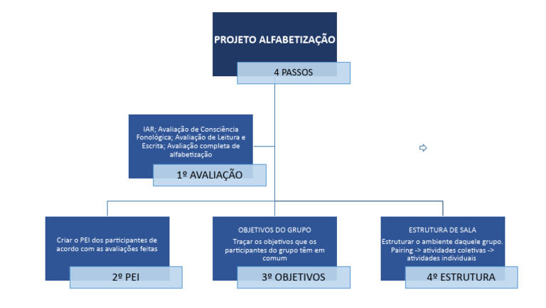 Fluxograma Projeto Alfabetizacao Dani Mendonça | PDF | Carreira e ...