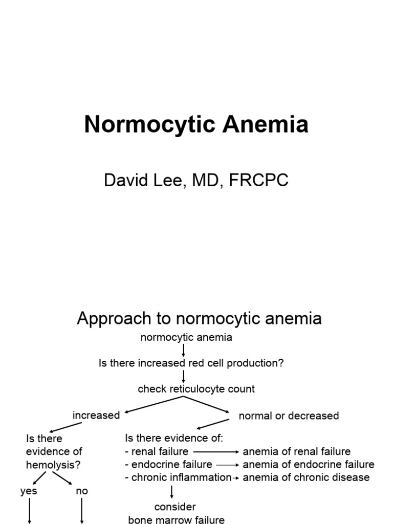 Normocytic Anemia | PDF