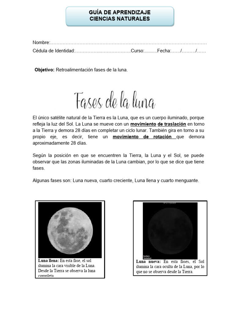 guia 3° básico cs. naturales fases de la luna | PDF | Luna | Ciencias ...